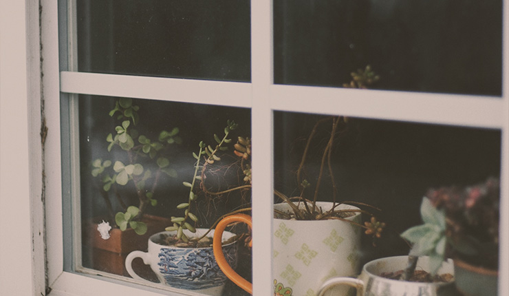 The Window - CCEF