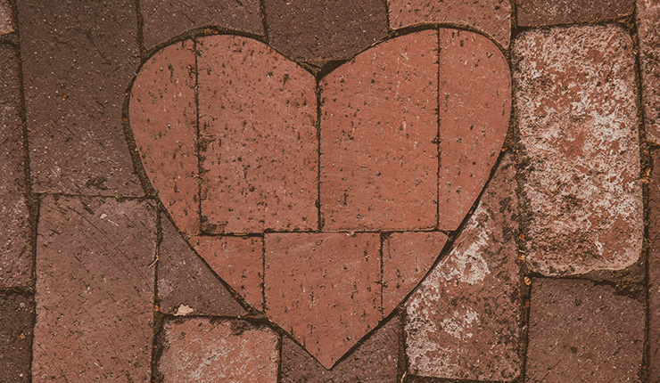 Understanding the Influences on the Human Heart - CCEF