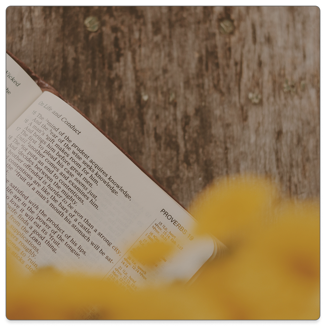 Lessons from Proverbs: Not Just a Collection of One-Liners - CCEF