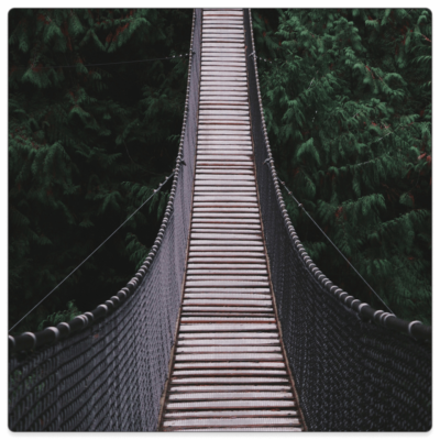 Counseling, Apologetics, and Calling: A Tribute to David Powlison - CCEF