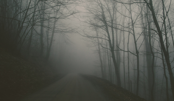 Where Life and Scripture Meet | CCEF Podcasts